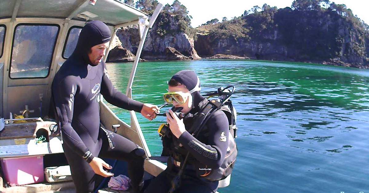 공인 Padi 다이브 센터와 함께 하헤이에서 Padi 디스커버 스쿠버 다이빙을 경험해보세요 클룩 Klook 한국